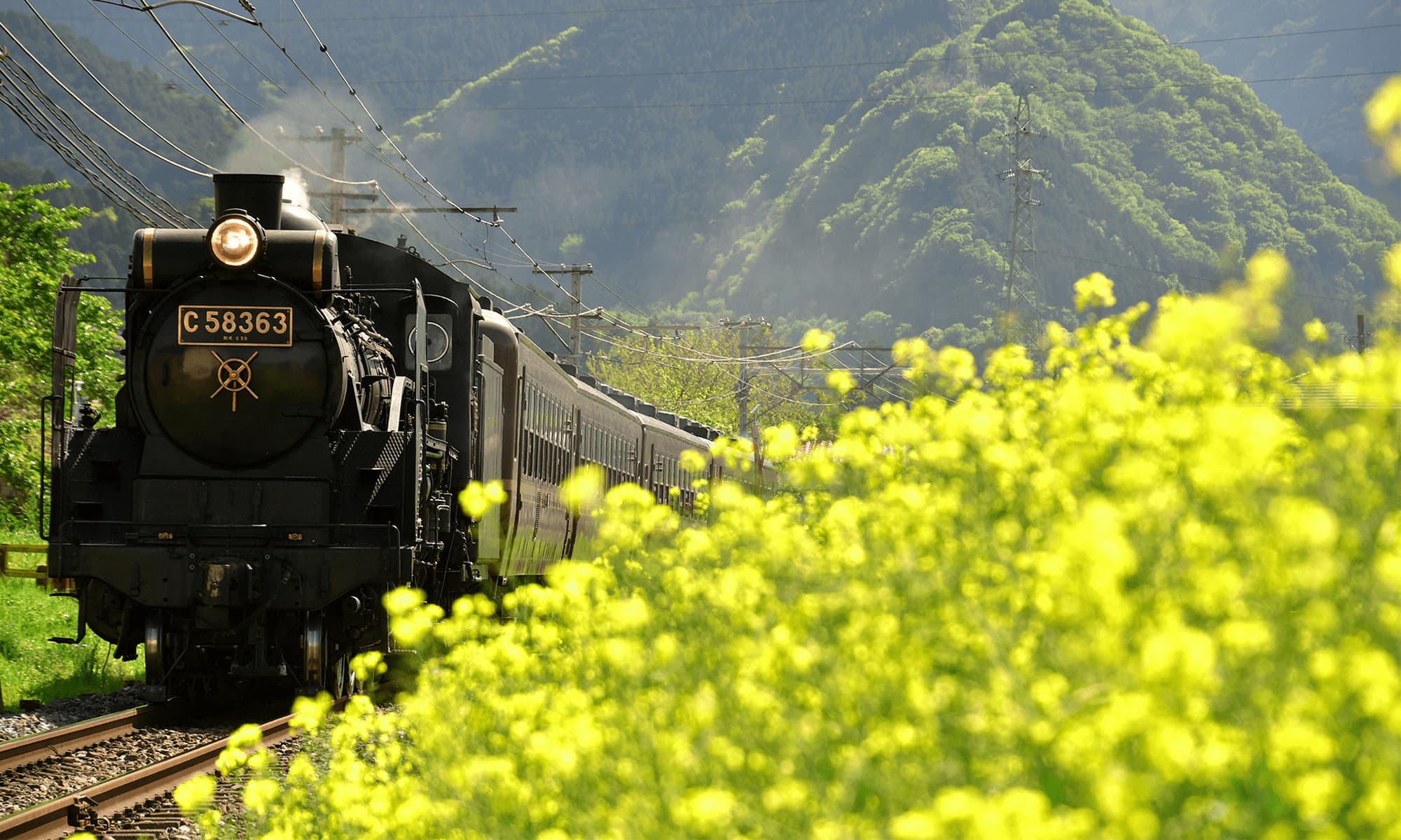 PRIZE | 2024chichibu-railway-Stamp Rally | Taview